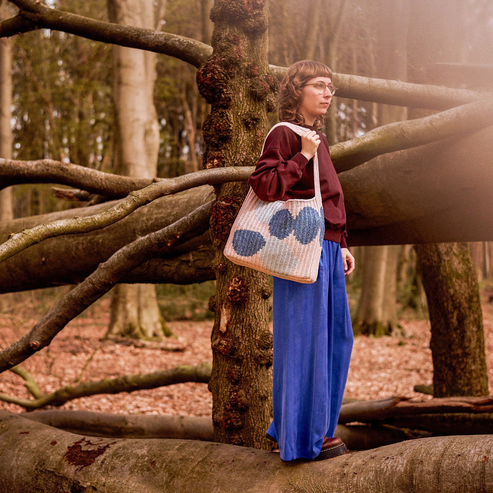 Book – Intarsia Knits